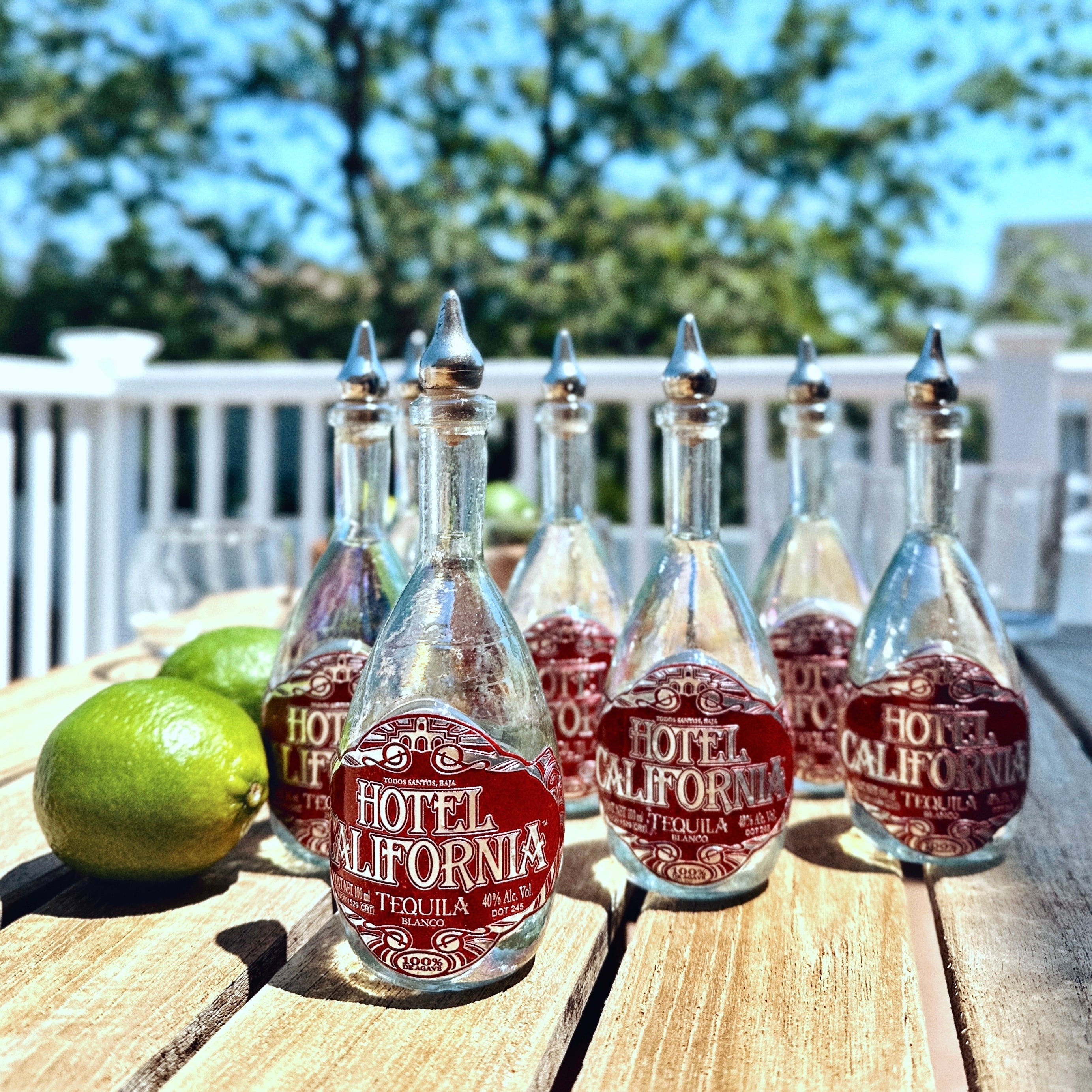 Blanco Mini Party Pack 100ML (6-Pack) – Hotel California Tequila Shop